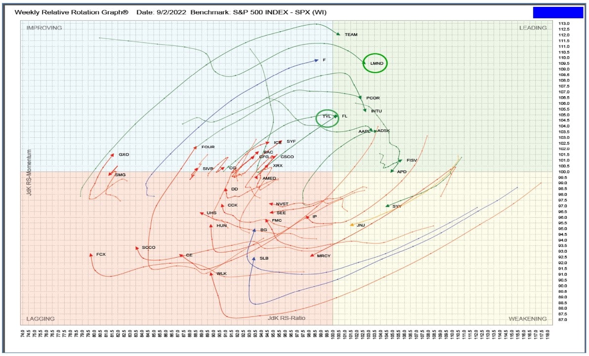 TYL, LMND - positive - RIA